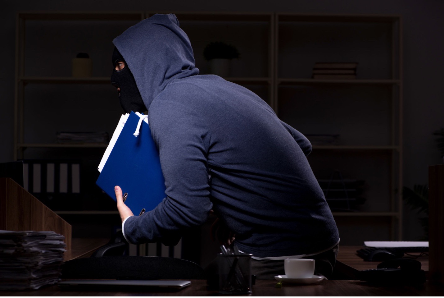 Securable, Immutable, and Compressed Mainframe Data Storage | Broadcom Securable, Immutable, and Compressed Mainframe Data Storage | Broadcom